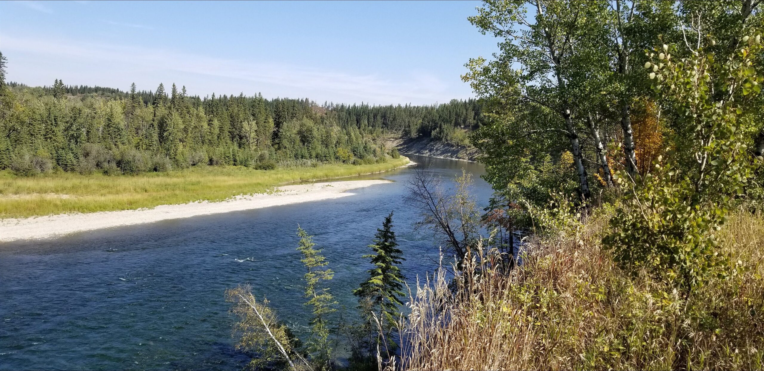 Rimbey, AB School Bus Rentals | First Student Charter